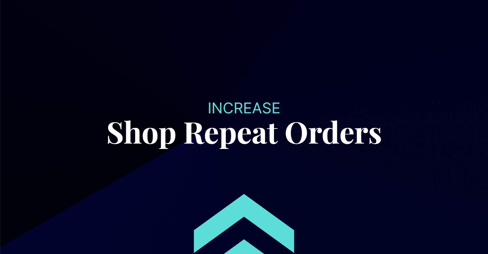 Boost Your Ecommerce Success with Shop Repeat Orders | Futurmax