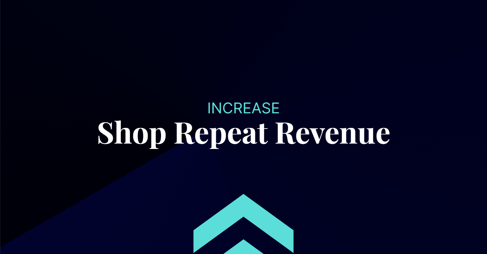 Increase your Shop Repeat Revenue (SRR) | Futurmax